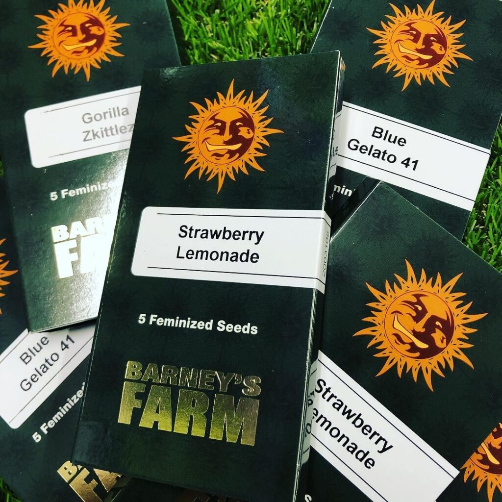 Barney's Farm: From Coffee Shop to Seed Bank | 24grow Cannabis News